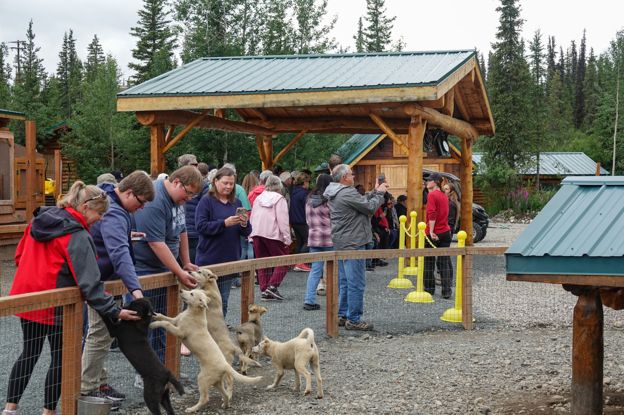 Mushing in Alaska: What to Expect With the Ultimate Adventure ...