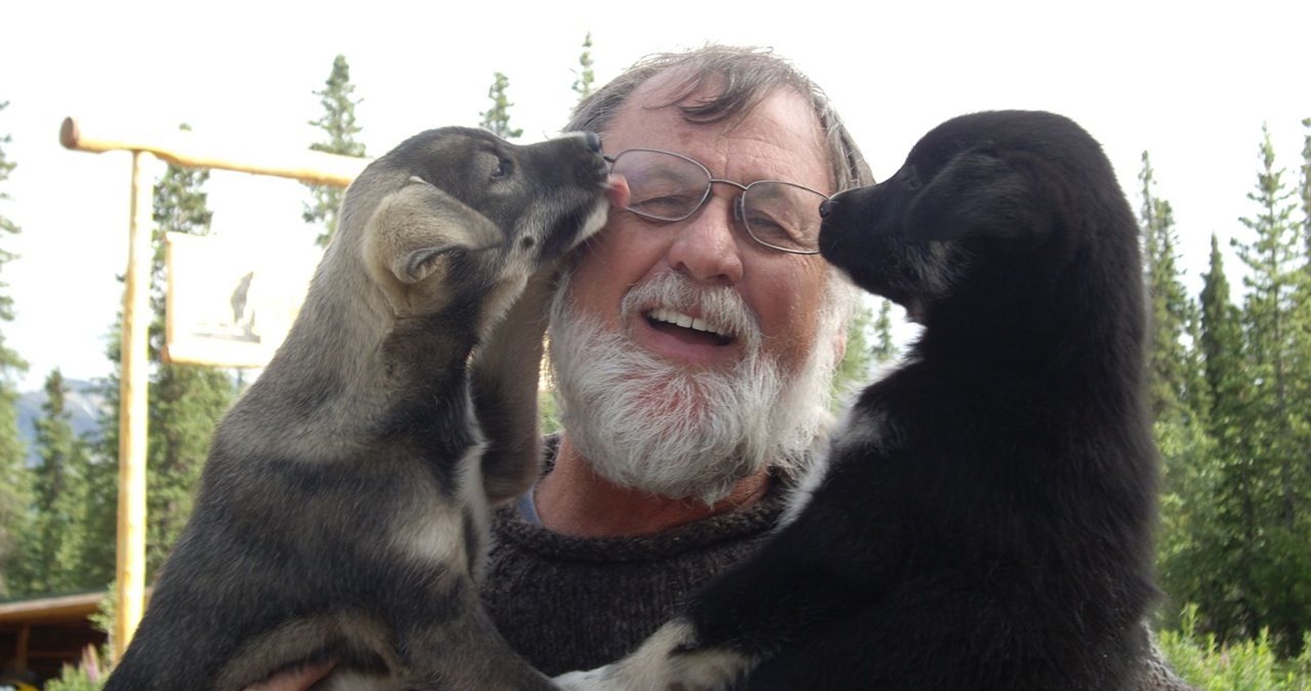 Premier Alaskan Sled Dog Tours in Denali | DogGoneIt Tours
